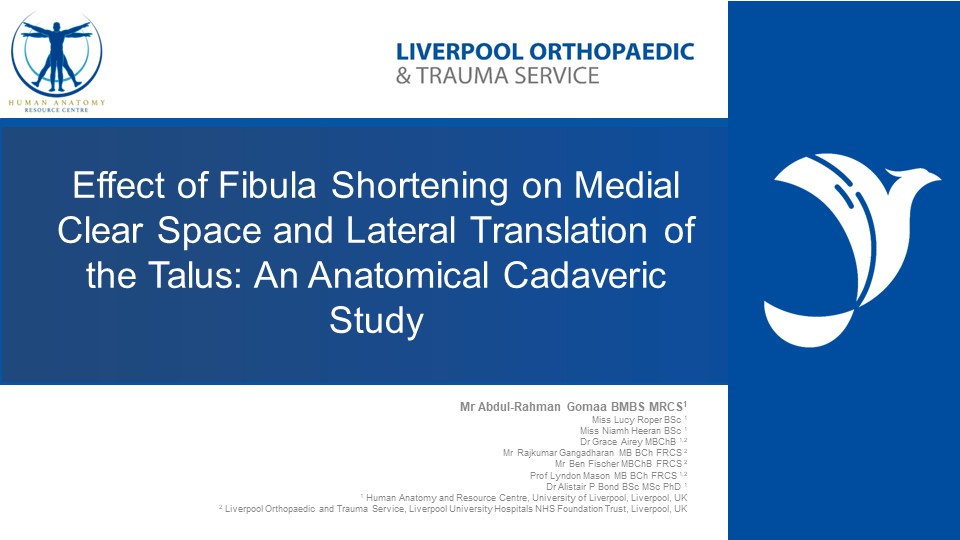 Effect of fibula shortening on medial clear space and lateral ...